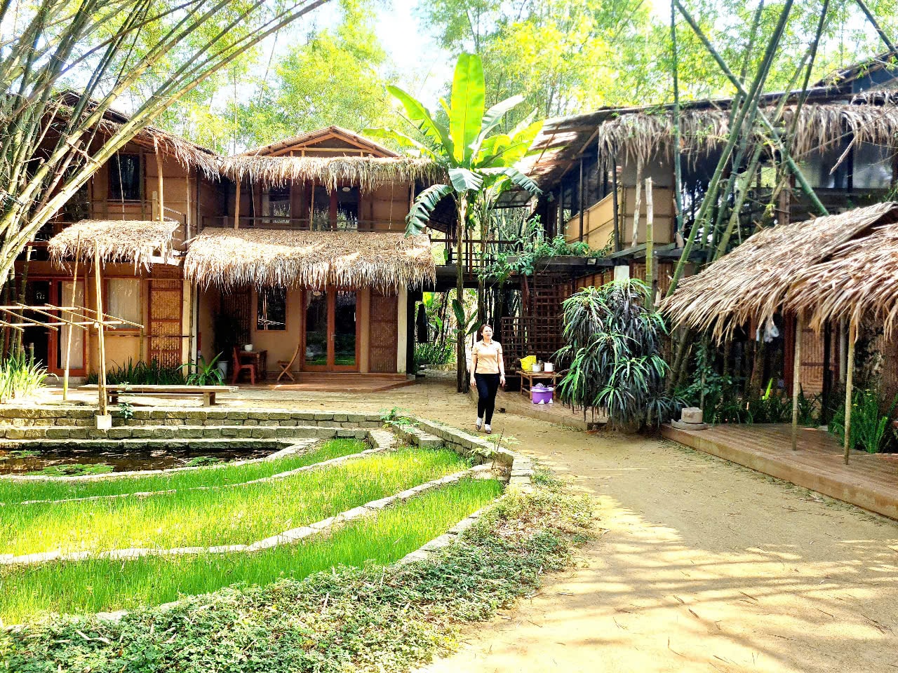 Da Nang: Experiencing Green Tourism in Triem Tay – Page specialised in ...