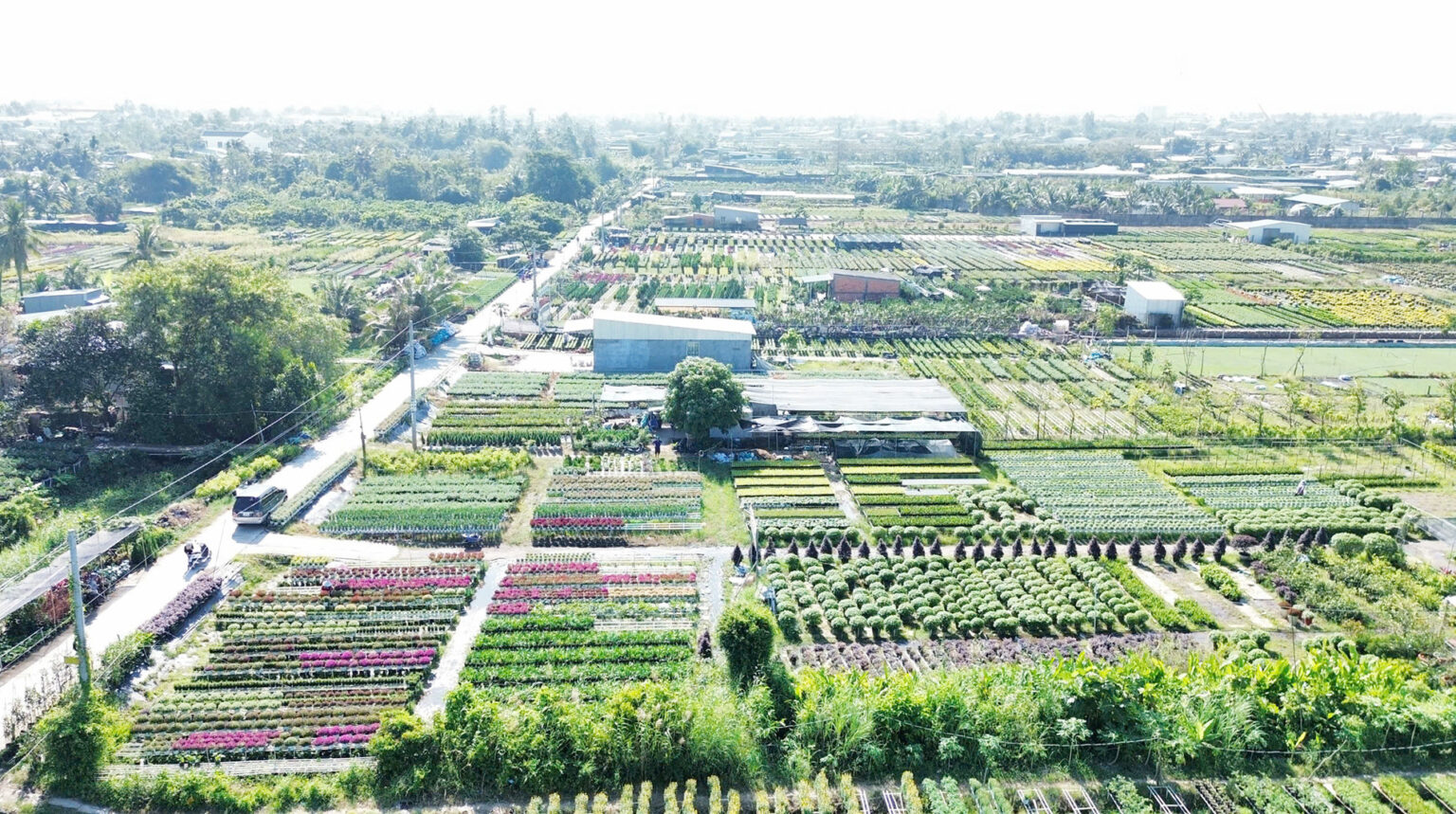 Dong Thap Shapes “New Dong Thap”: Ecological Agriculture as the Pillar ...